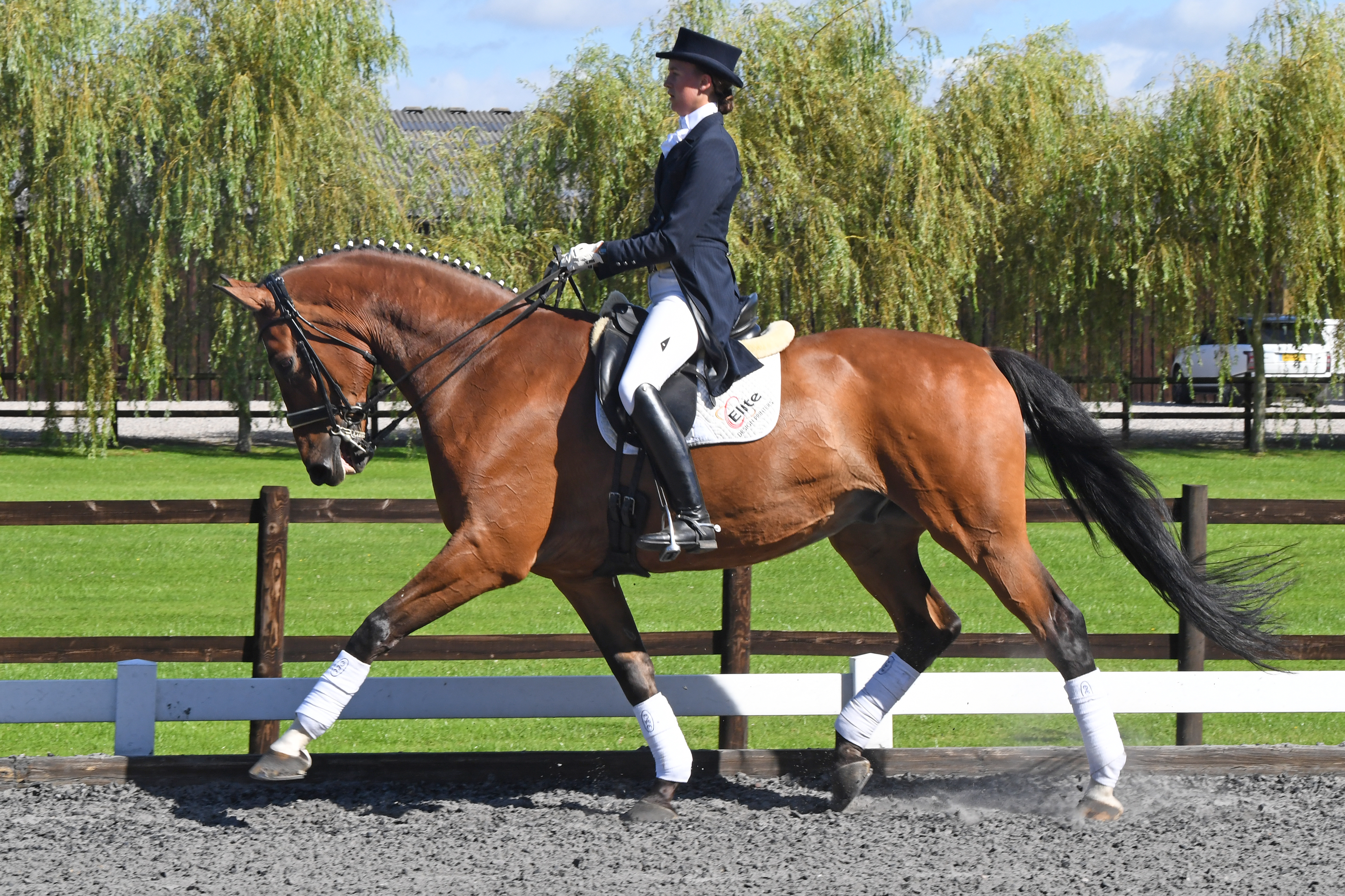 Oldencraig Equestrian Centre | Dressage Surrey | Livery Yard Surrey ...